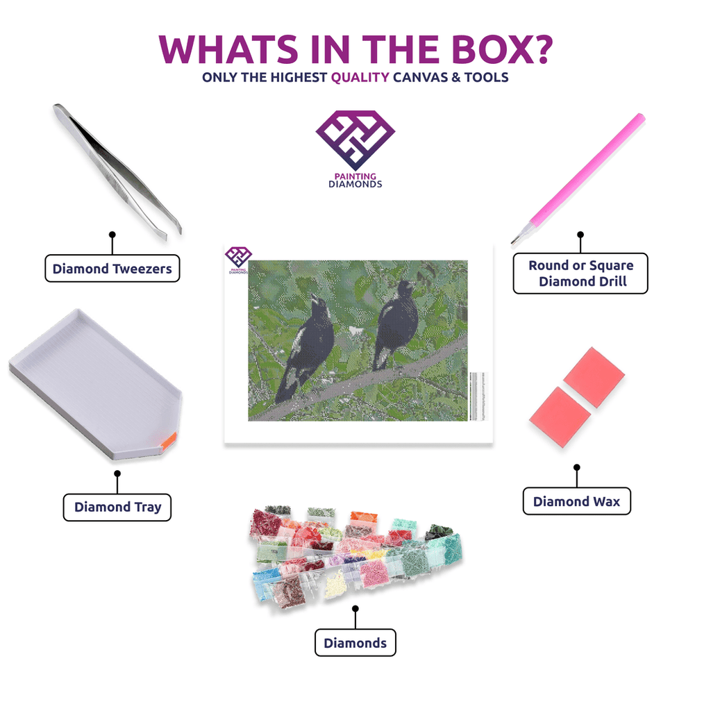 Magpie Duo - 5D Diamond Painting Kit – Painting Diamonds